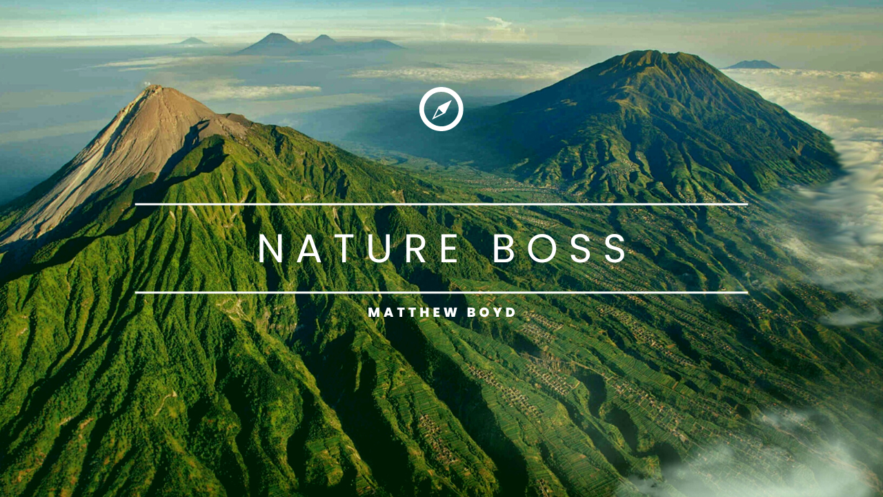 Nature Boss - CreativeCubes.Co